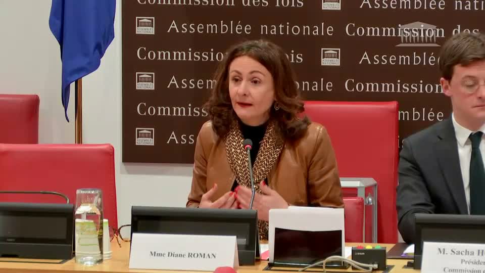 Commission des lois : Mme Diane Roman, M. Loïc Cadiet et M. Christophe ...