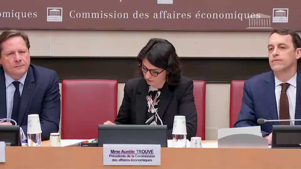 Commission des affaires économiques : M. Stéphane Hayot, directeur ...