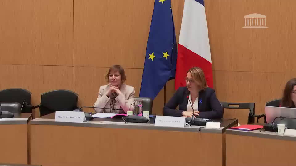 Délégation aux droits des femmes : Table ronde sur les nouveaux enjeux ...